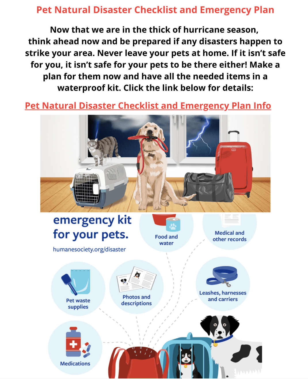 How To Write An Amazing Nonprofit Newsletter + 8 Inspiring Examples