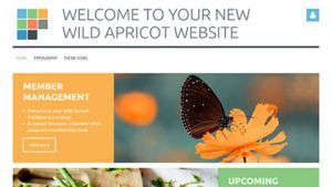 8 Club Website Templates + Examples to Inspire You